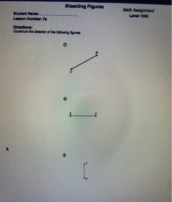 Solved Bisecting Figures Student Name: Lowon Number: 7 Math | Chegg.com