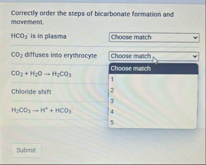Solved Correctly order the steps of bicarbonate formation | Chegg.com