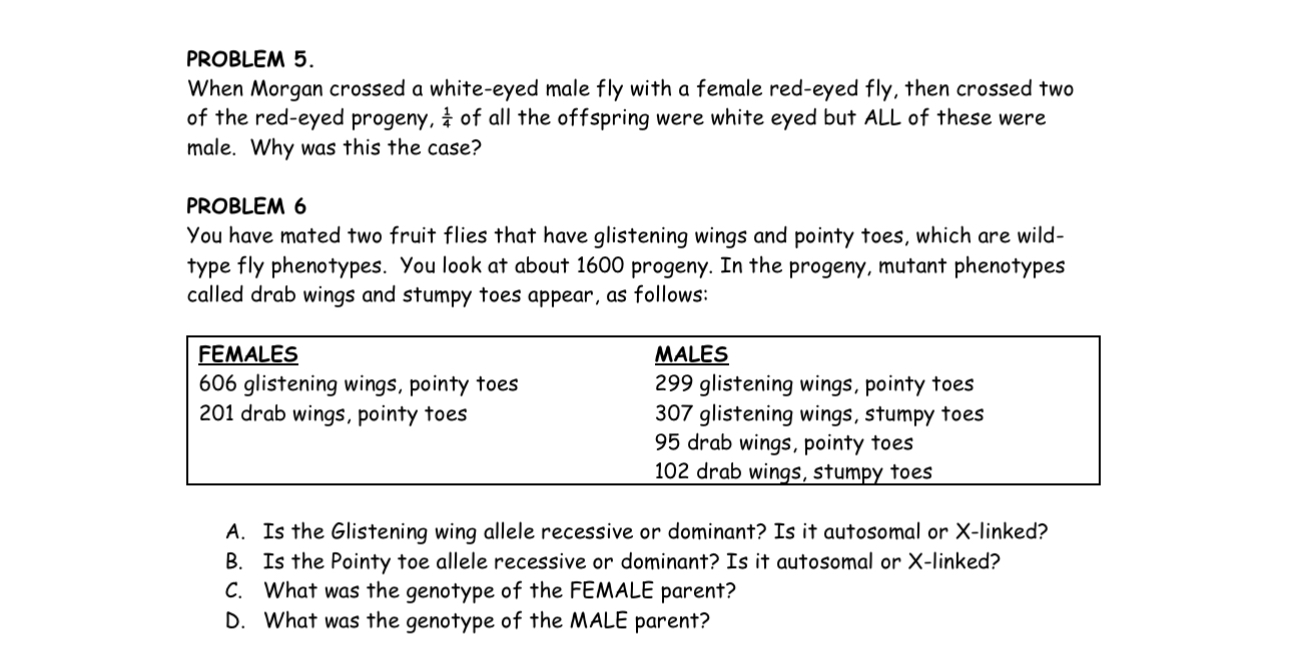 Solved PROBLEM 5.When Morgan crossed a white-eyed male fly | Chegg.com