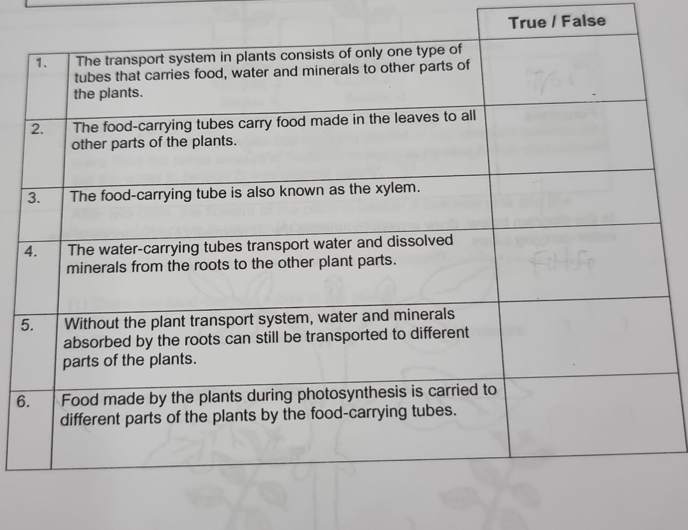 Solved 1. The transport system in plants consists of only | Chegg.com