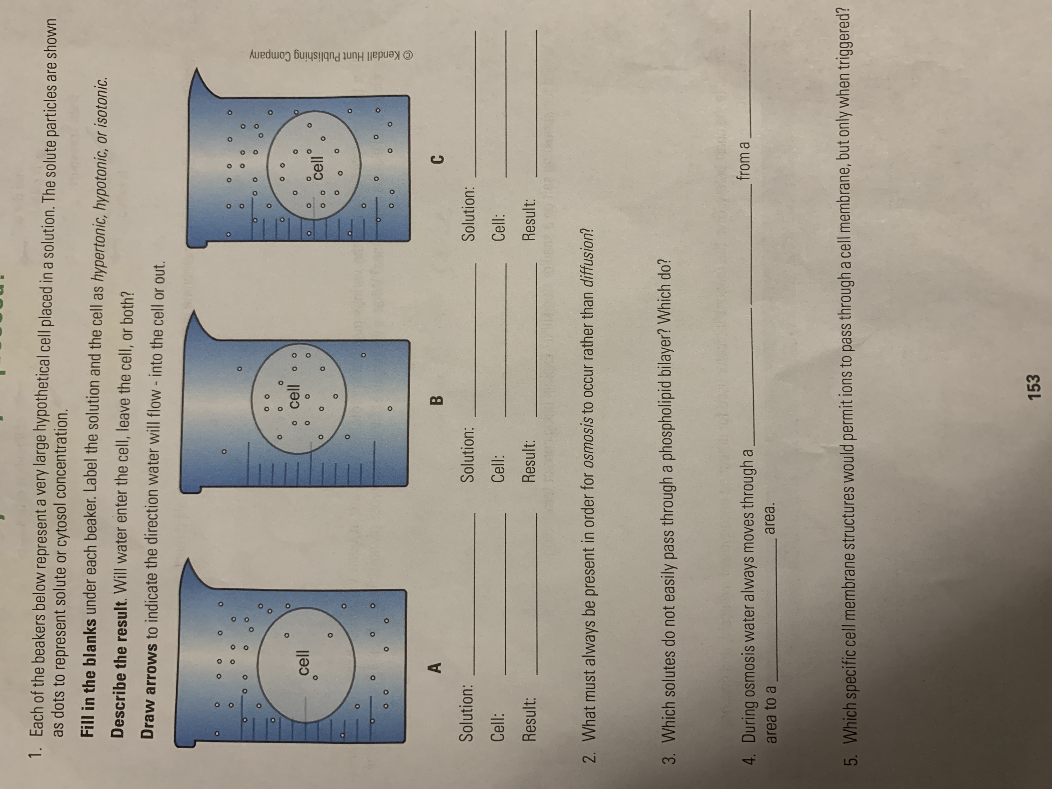 Solved Each of the beakers below represent a very large | Chegg.com