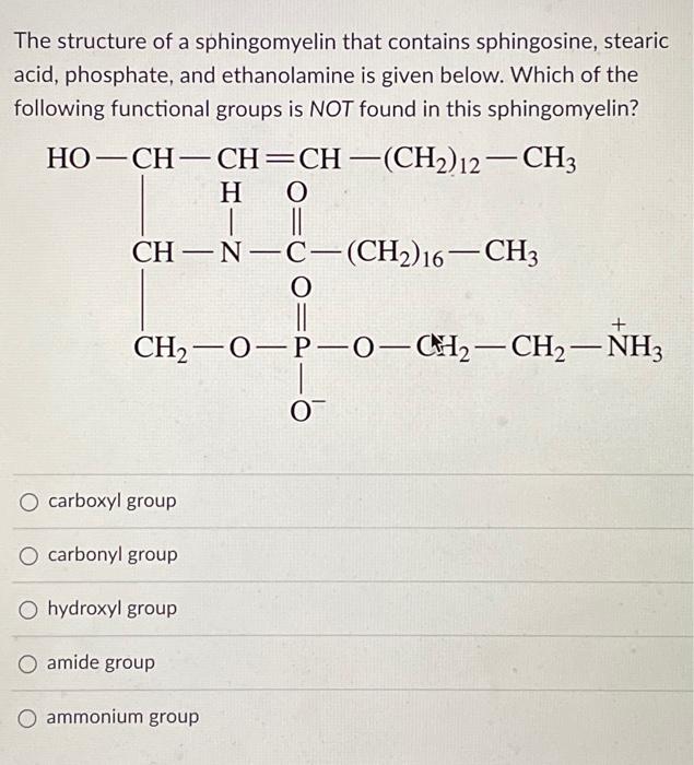 Solved The structure of a sphingomyelin that contains | Chegg.com