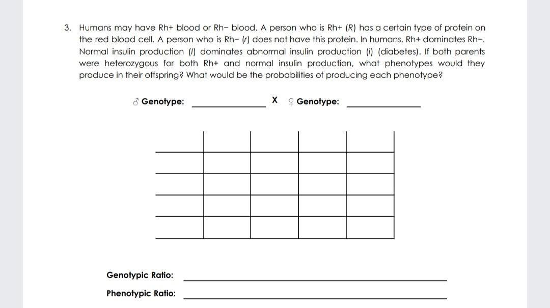 Solved 3. Humans may have Rh+ blood or Rh− blood. A person | Chegg.com