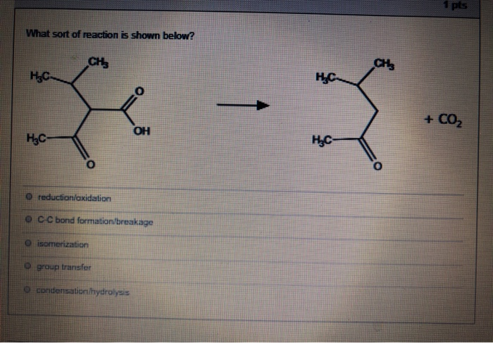 Solved What sort of reaction is shown below? CH HO + CO2 нс | Chegg.com