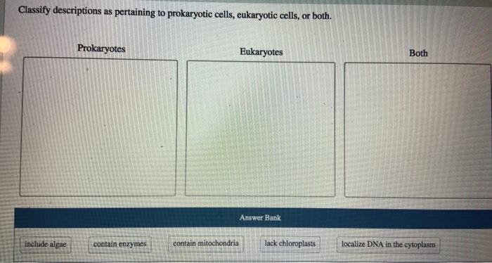 Solved classify descriptions as pertaining to prokaryotic | Chegg.com