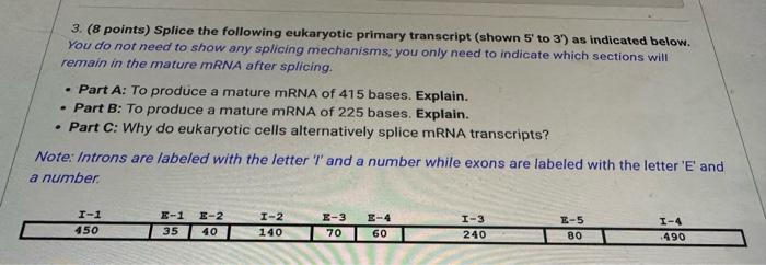 Solved 3. (8 points) Splice the following eukaryotic primary | Chegg.com