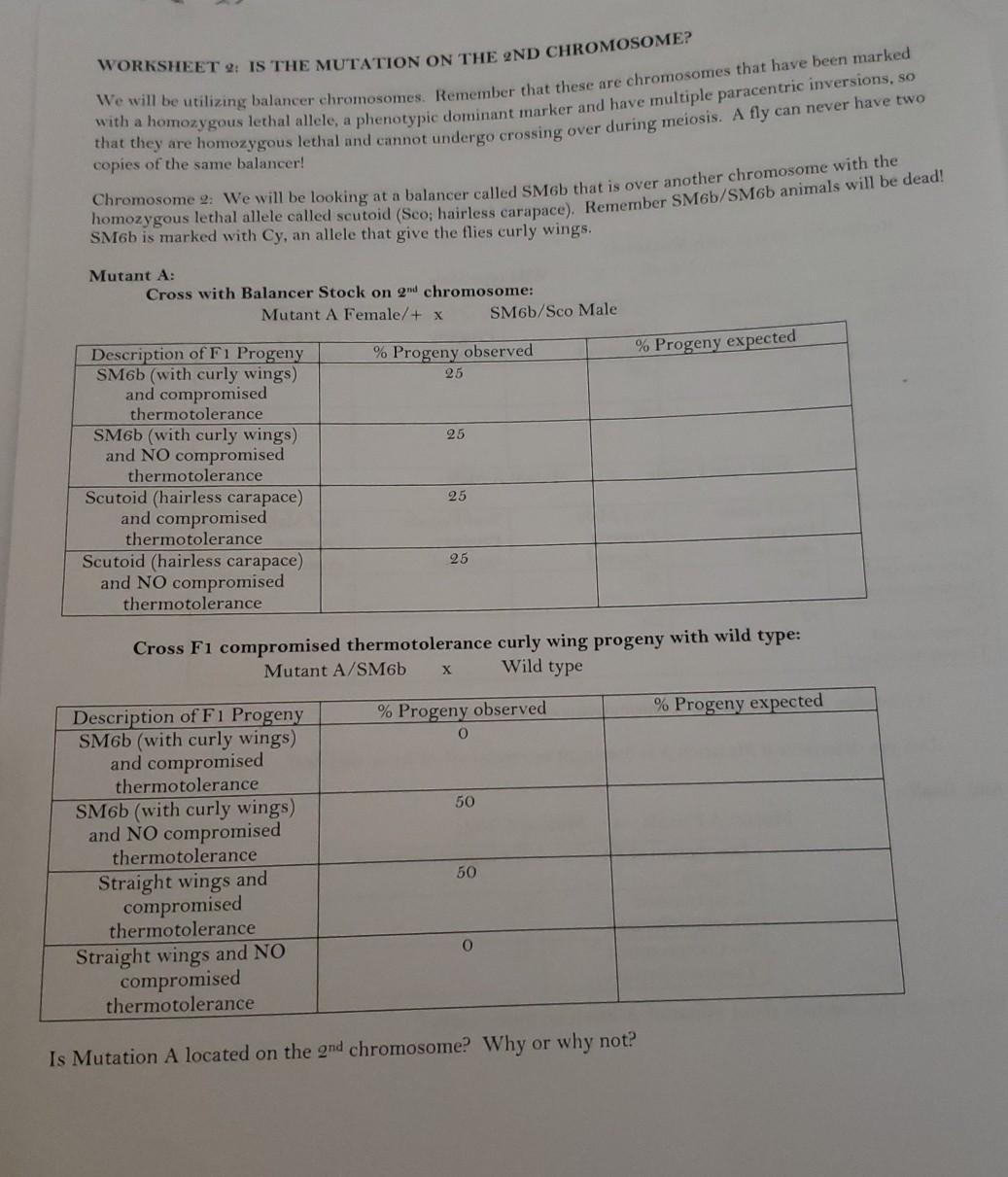 Solved WORKSHEET 2: IS THE MUTATION ON THE 2ND CHROMOSOME? | Chegg.com