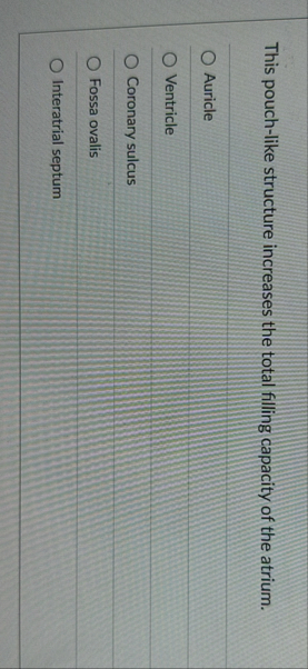 Solved This pouch-like structure increases the total filling | Chegg.com