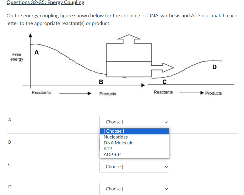 Solved On the energy coupling figure shown below for the | Chegg.com