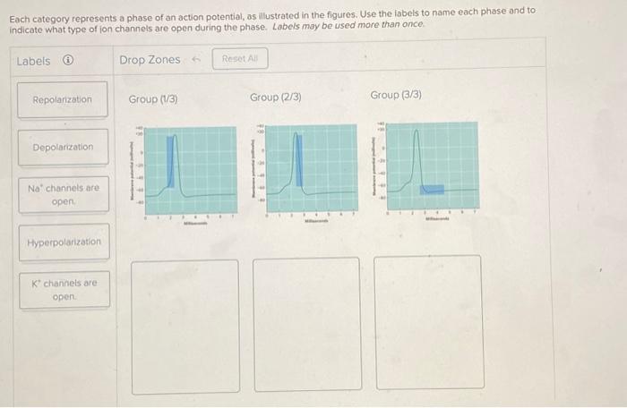 Solved Each category represents a phase of an action | Chegg.com