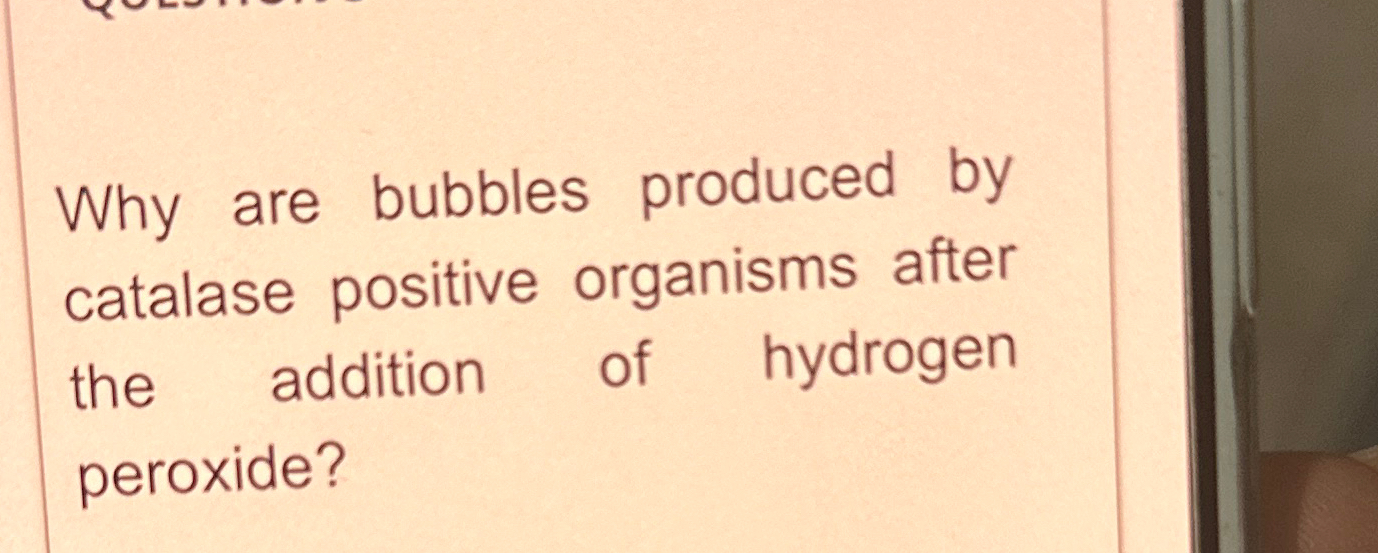 Solved Why are bubbles produced by catalase positive | Chegg.com