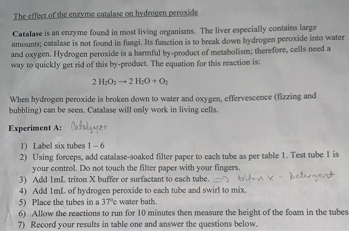 The effect of the enzyme catalase on hydrogen | Chegg.com