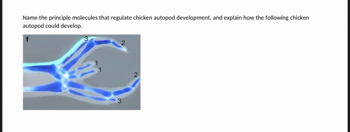 Solved Name the principle molecules that regulate chicken | Chegg.com