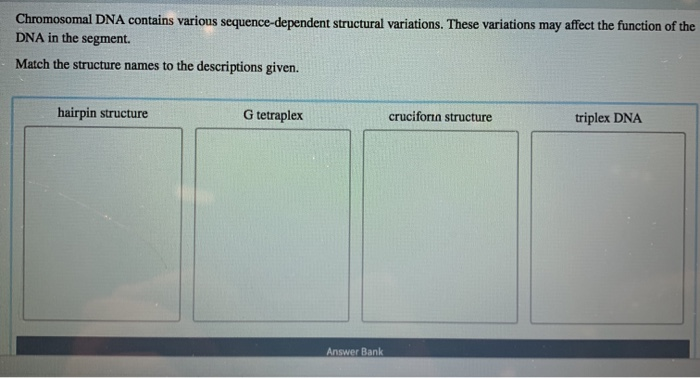 Solved Chromosomal DNA contains various sequence-dependent | Chegg.com