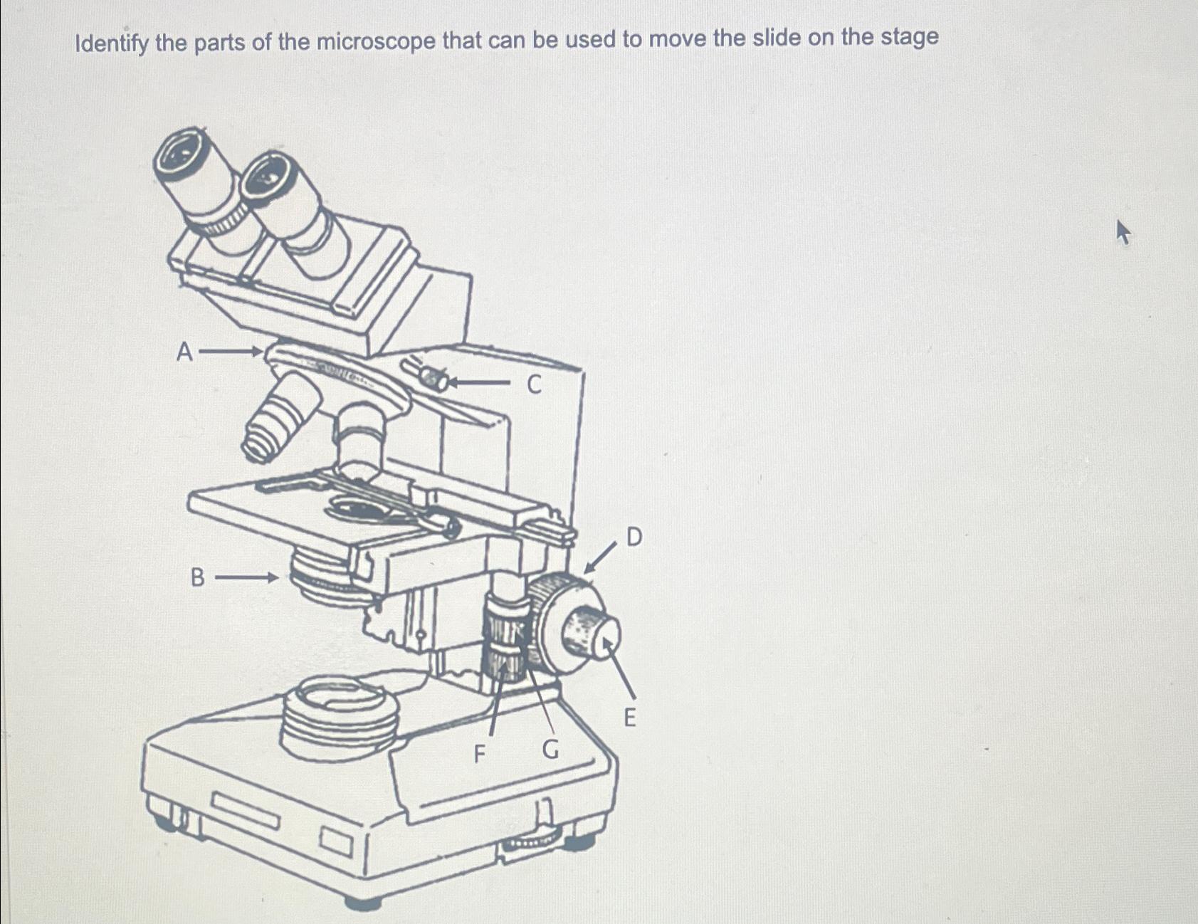 Solved Identify the parts of the microscope that can be used | Chegg.com