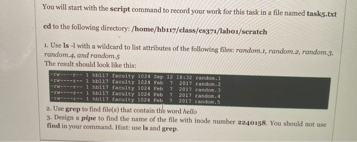 Solved You will start with the script command to record your | Chegg.com