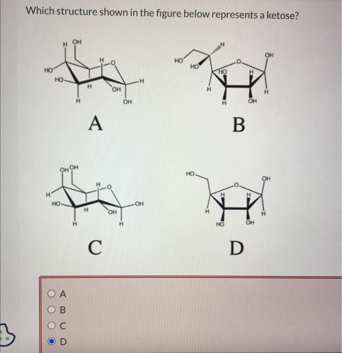 Solved Which structure shown in the figure below represents | Chegg.com