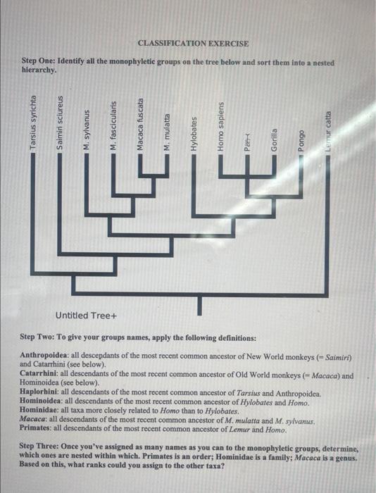 Solved Step One: Identify all the monophyletic groups on the | Chegg.com