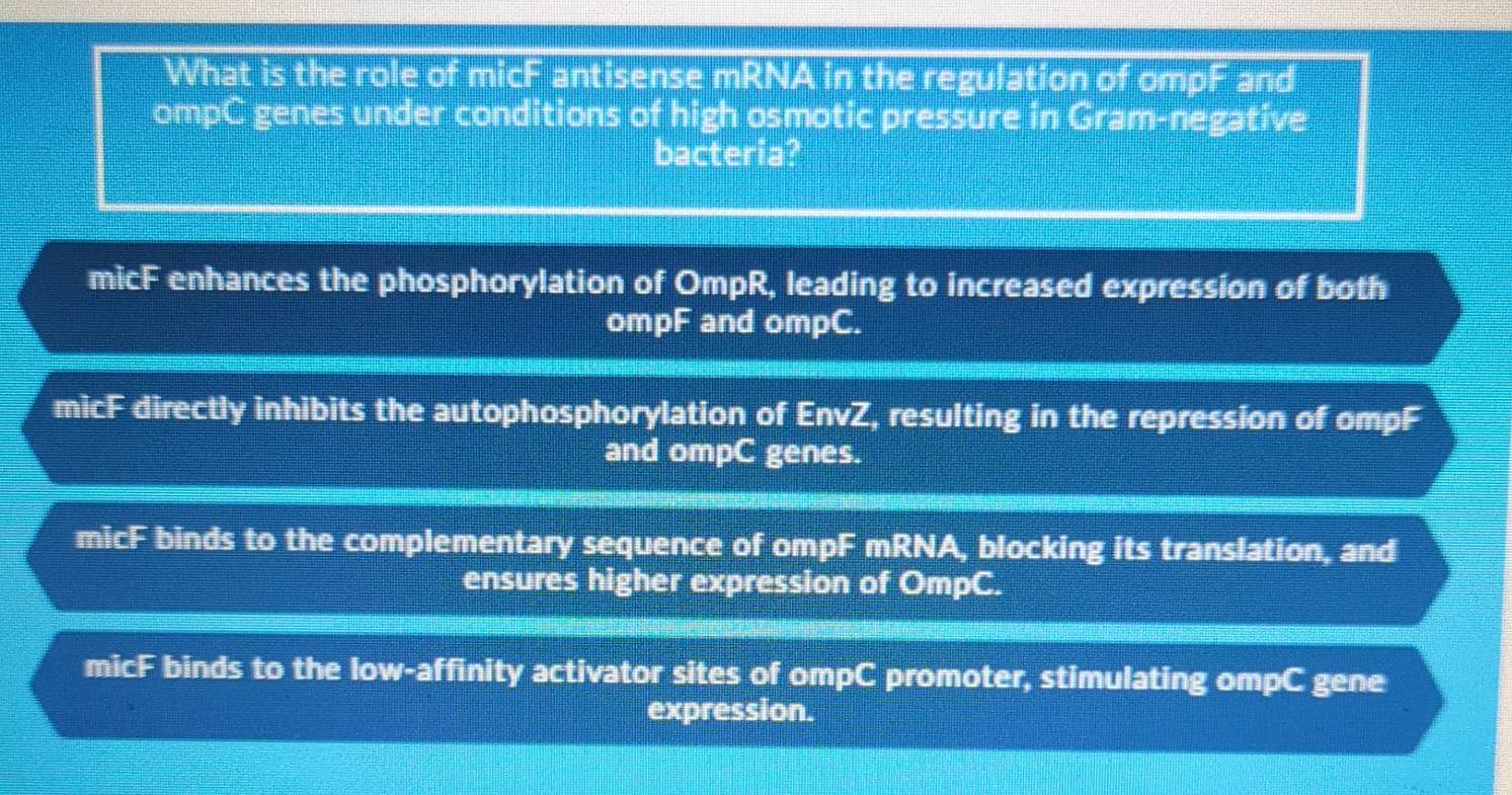 Solved What is the role of micF antisense mRNA in the | Chegg.com