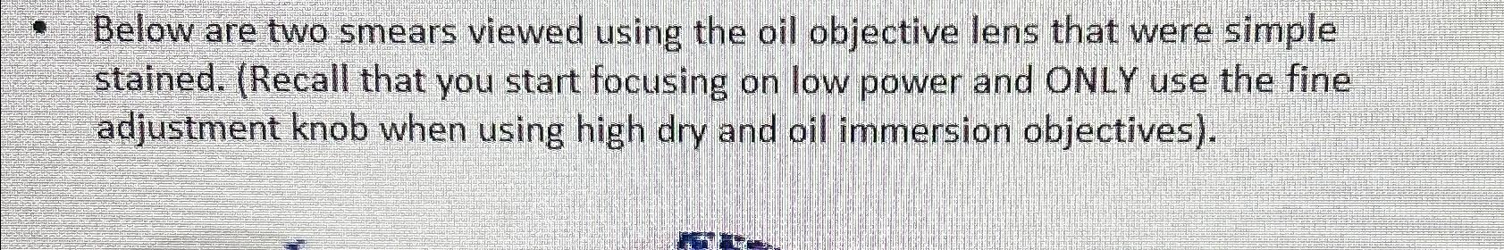 Solved Below are two smears viewed using the oil objective | Chegg.com