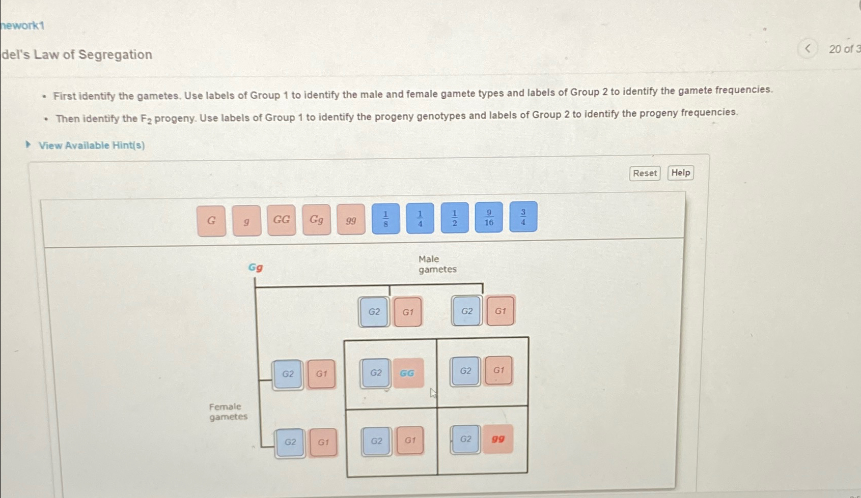 hework1del's Law of Segregation20 ﻿of 3First identify | Chegg.com