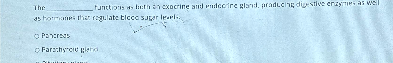 Solved The functions as both an exocrine and endocrine | Chegg.com