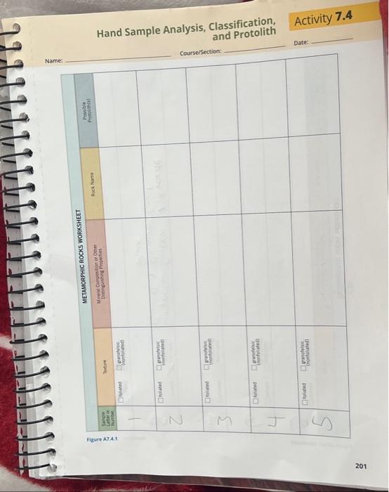 and Protolith Activity 7.4 Hand Sample Analysis, | Chegg.com