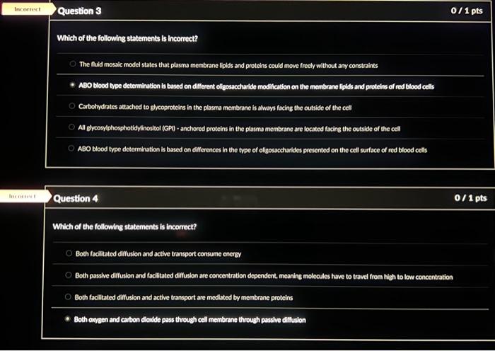 Solved Incorrect Question 3 Incorrect Which of the following | Chegg.com Solved Incorrect Question 3 Incorrect Which of the following | Chegg.com