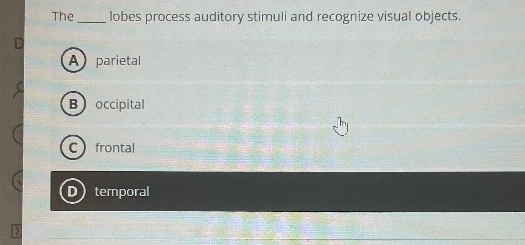 Solved The ﻿lobes process auditory stimuli and recognize | Chegg.com