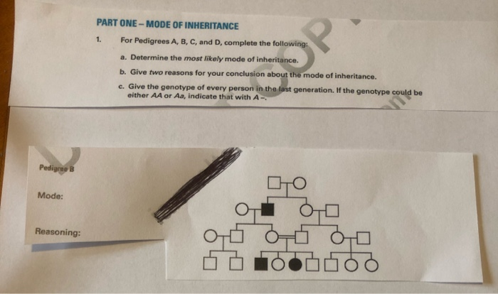 Solved 1 a. Determine the most likely mode of inheritance. | Chegg.com