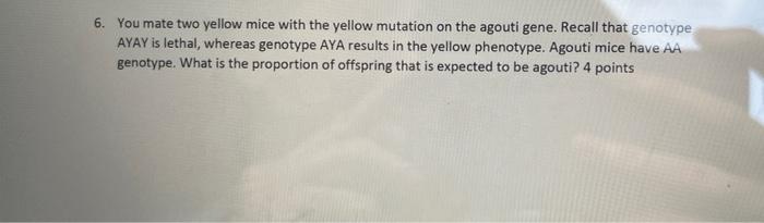 Solved 6. You mate two yellow mice with the yellow mutation | Chegg.com