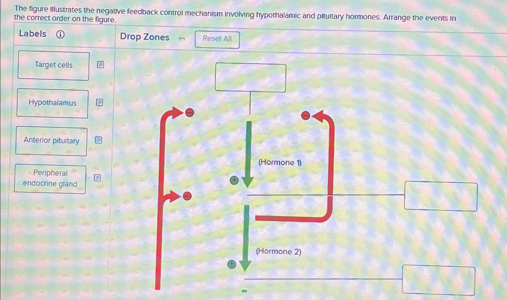 Solved The figure illustrates the negative feedback control | Chegg.com