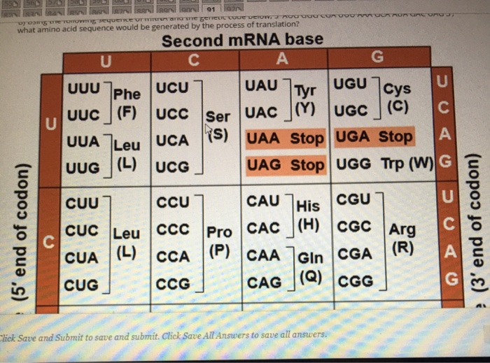 Solved a. using the following template sequence of DNA 3'ATG | Chegg.com