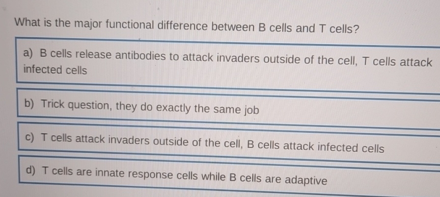 Solved What is the major functional difference between B | Chegg.com