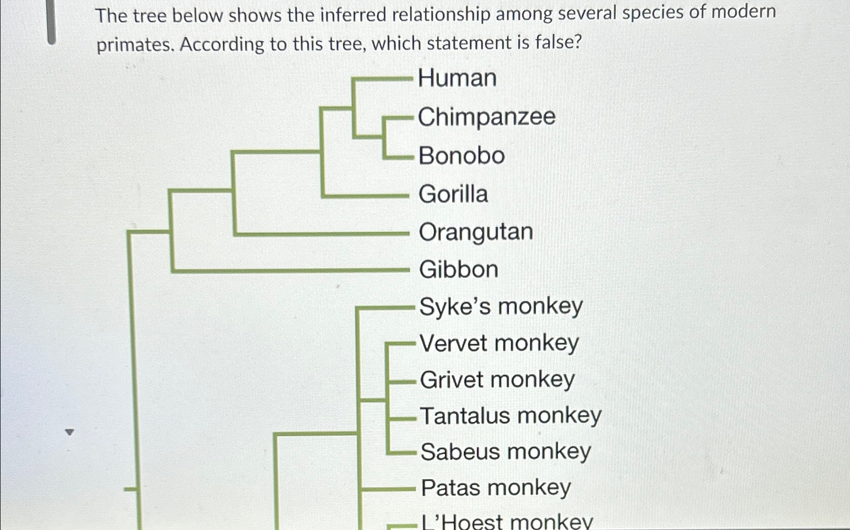 Solved The tree below shows the inferred relationship among | Chegg.com