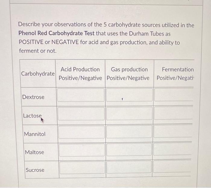 Solved Dextrose Durham Tube Phenol Red Carbohydrate Test | Chegg.com