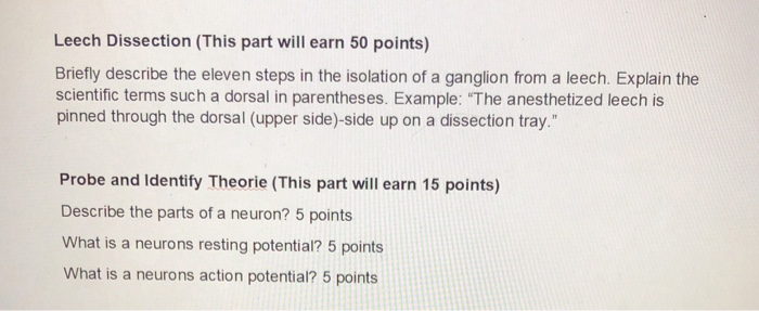 Solved Leech Dissection (This part will earn 50 points) | Chegg.com