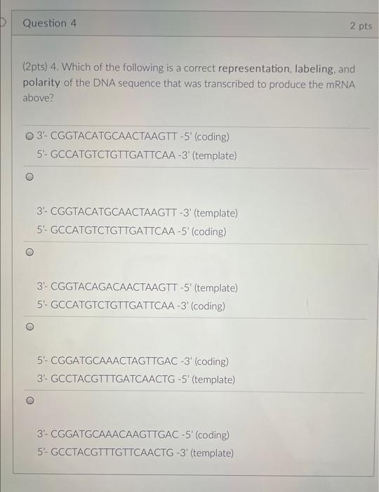 Solved Questions 4 - 6: Transcription resulted in the | Chegg.com