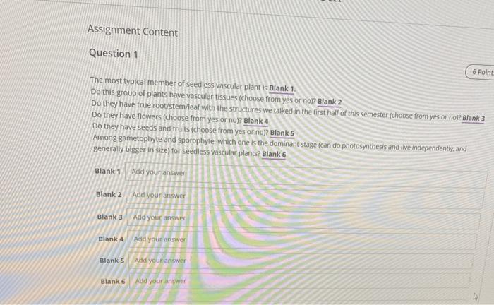 Solved Assignment Content Question 1 6 Point The most | Chegg.com