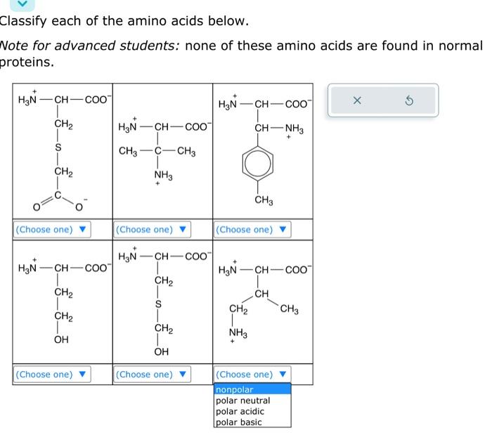 Solved Classify each of the amino acids below. Vote for | Chegg.com