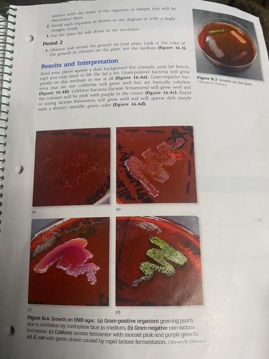 Solved EXERCISE 15: MANNITOL SALT AGAR Complete the table | Chegg.com