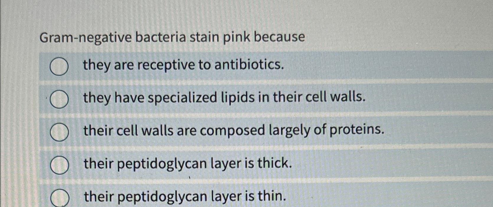 Solved Gram-negative bacteria stain pink becausethey are | Chegg.com