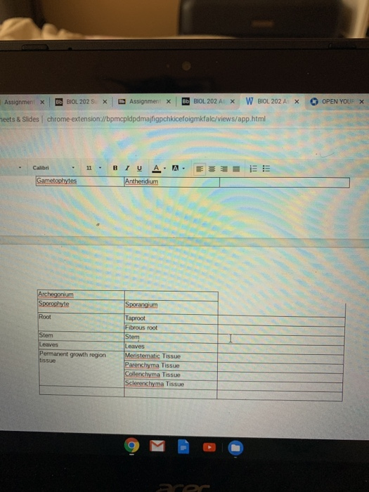 Solved summarize the important biological functions/ | Chegg.com
