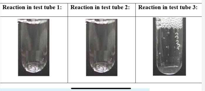 Solved Reaction in test tube 1: Reaction in test tube 2: | Chegg.com