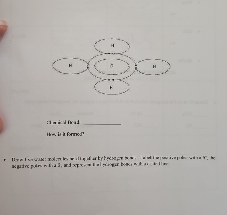 Solved Chemical Bond:How is it formed?Draw five water | Chegg.com