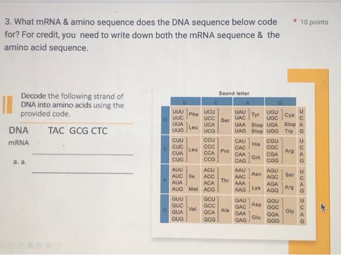 3. What mRNA \& amino sequence does the DNA sequence | Chegg.com