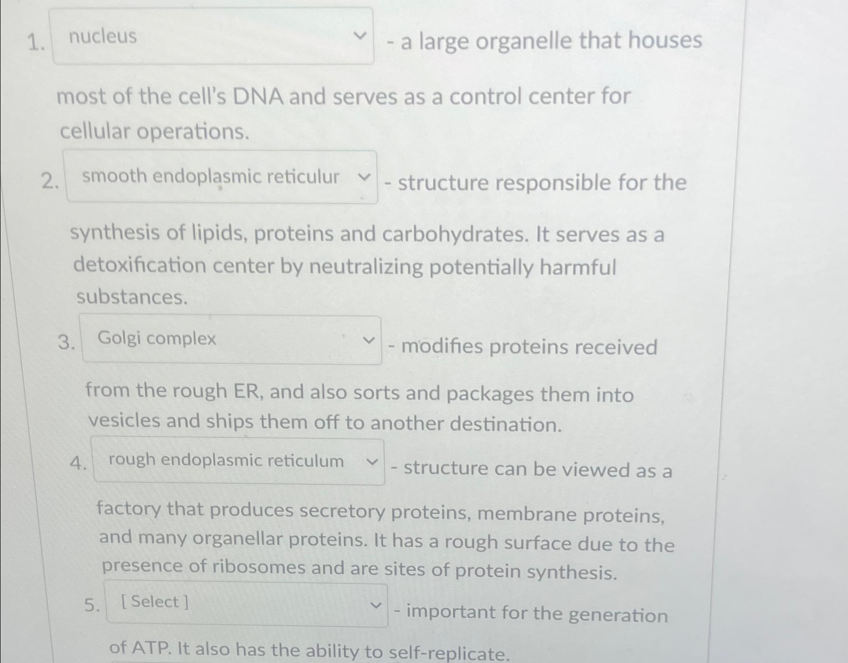 Solved 1a large organelle that housesmost of the cell's DNA | Chegg.com