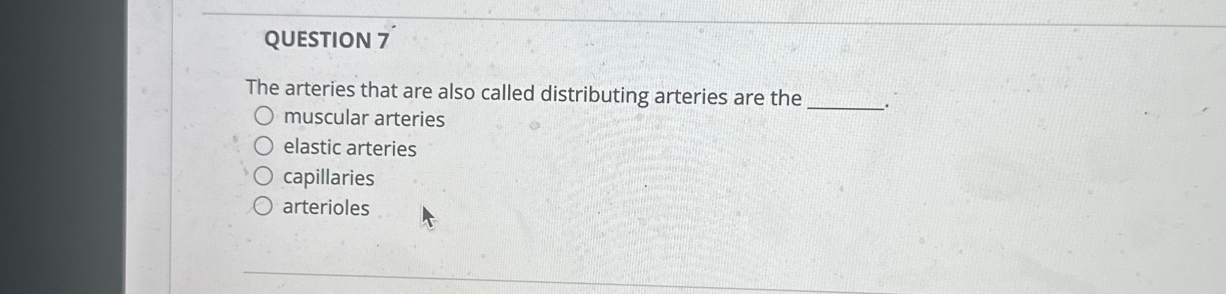 Solved QUESTION 7 -The arteries that are also called | Chegg.com