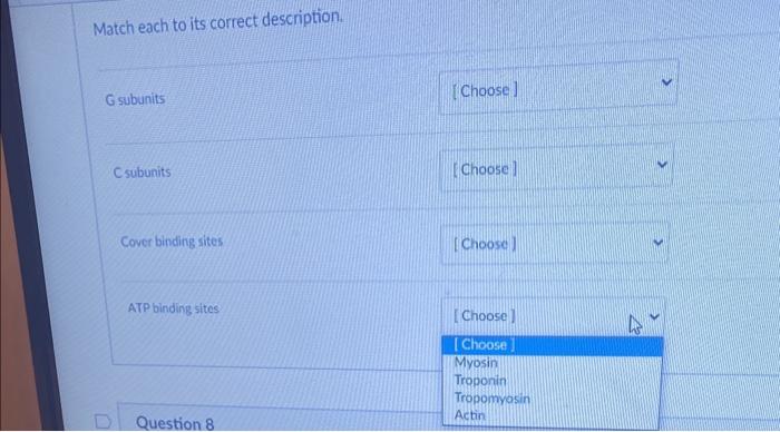 Solved Match each to its correct description. G subunits | Chegg.com