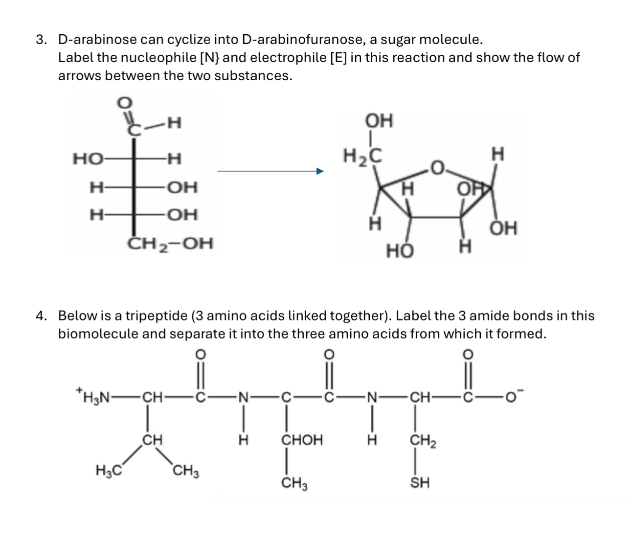 Solved D-arabinose can cyclize into D-arabinofuranose, a | Chegg.com